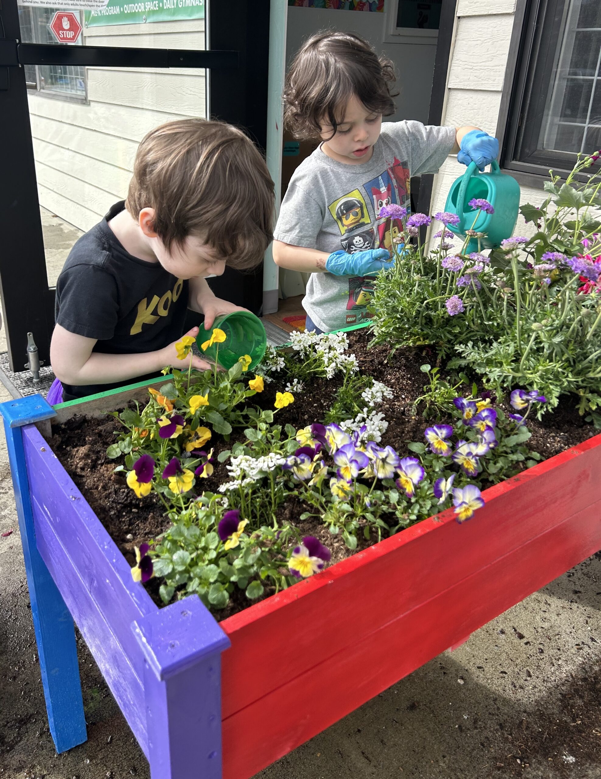 Growing Together - The Seattle Preschool